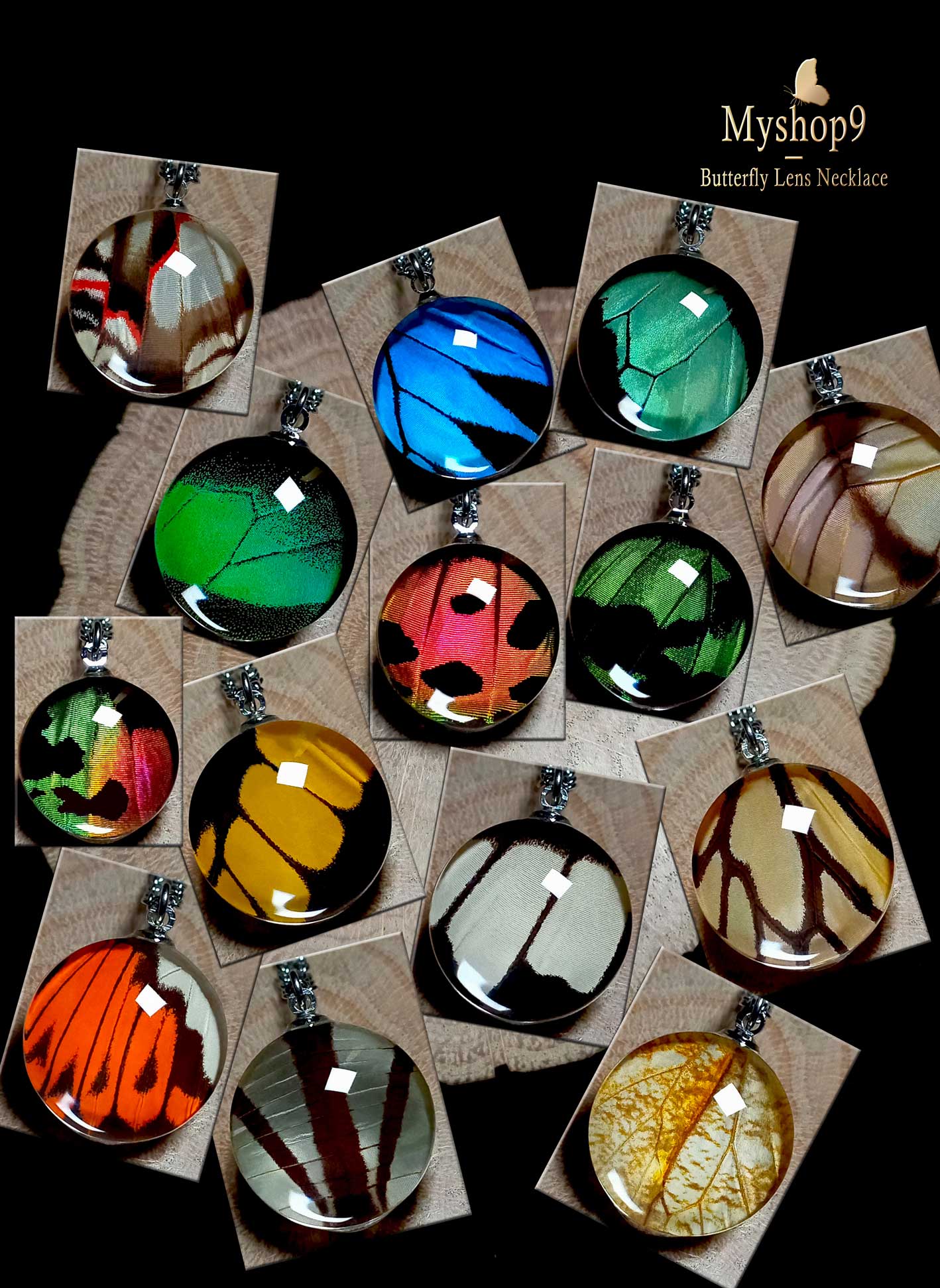 Special Offers & Bulk Butterfly Lens Necklaces | 90+ Species