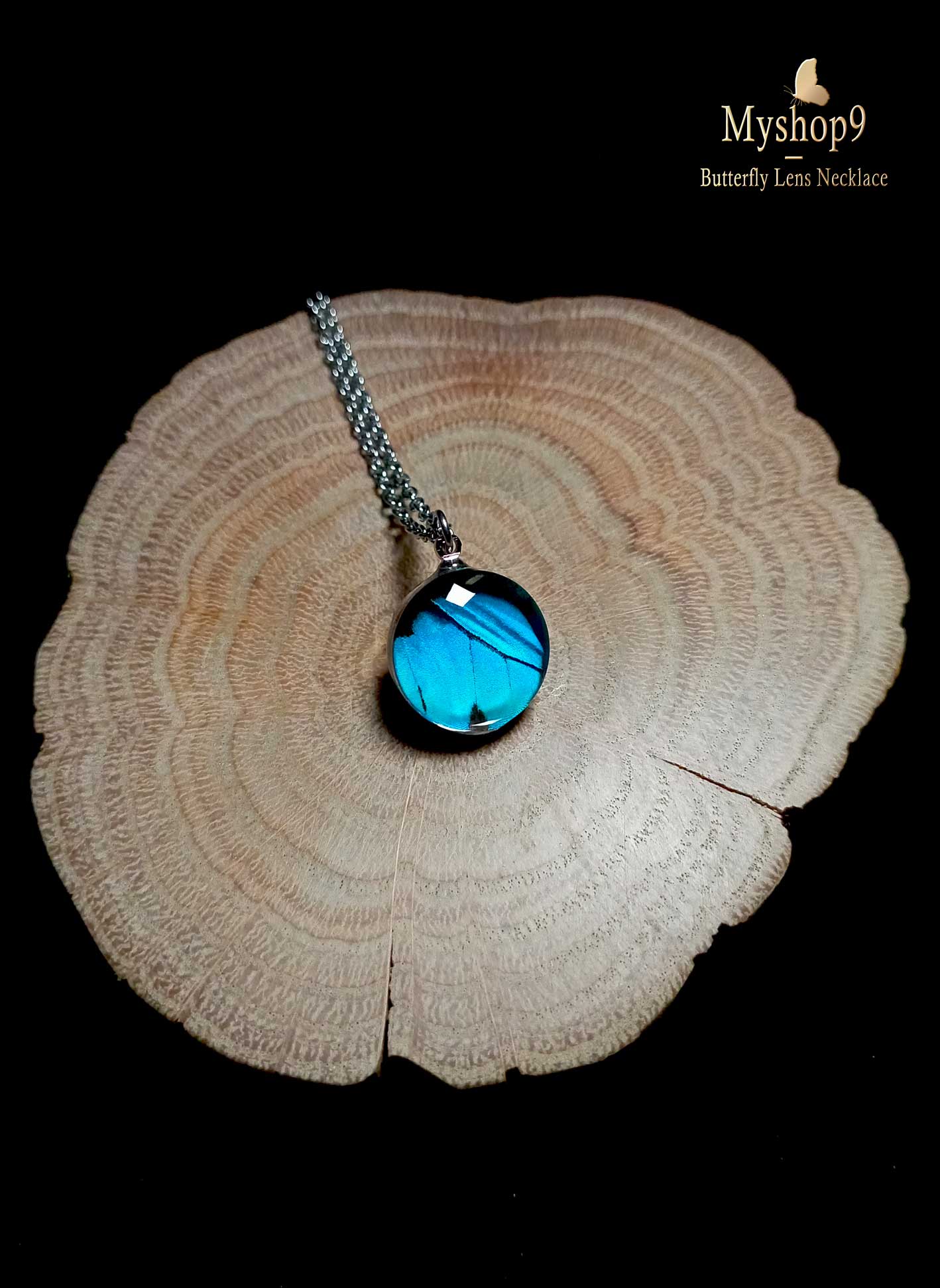 Bulk Butterfly Wing Necklaces • Event Favor Gifts • Real Papilio ...