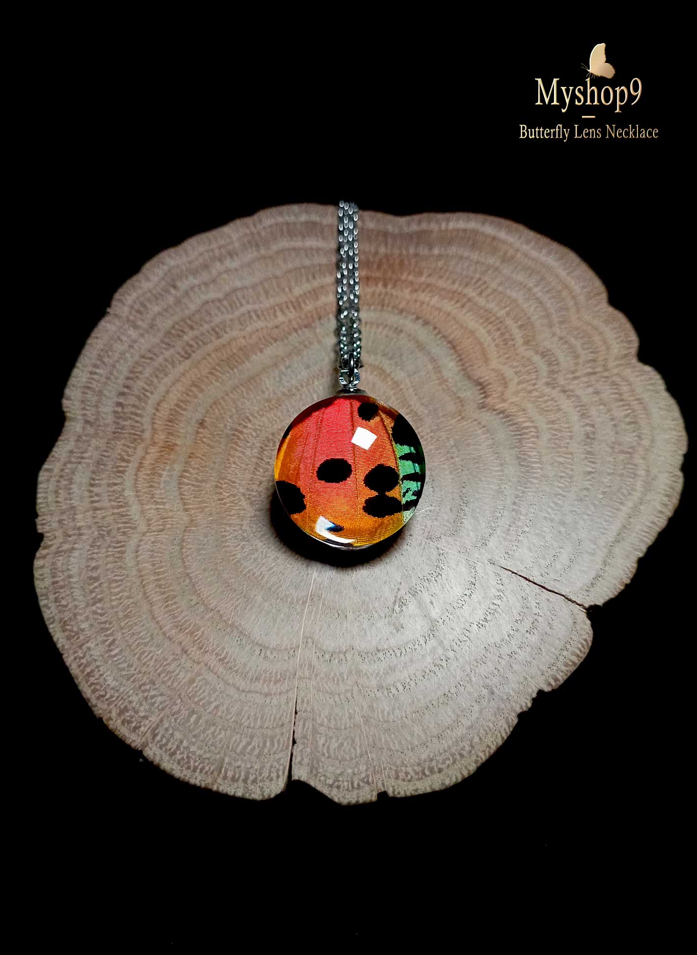Real Sunset Butterfly Wing Necklace – Vibrant Glass Lens Pendant ...